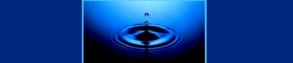 ON THIS DAY: September 18, 2019 | Flowers For Socrates