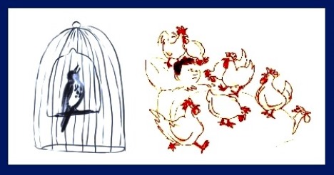 Poems for Bird Day and Respect for Chickens Day | Flowers For Socrates