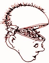 Poems for Wonderful Weirdos Day | Flowers For Socrates