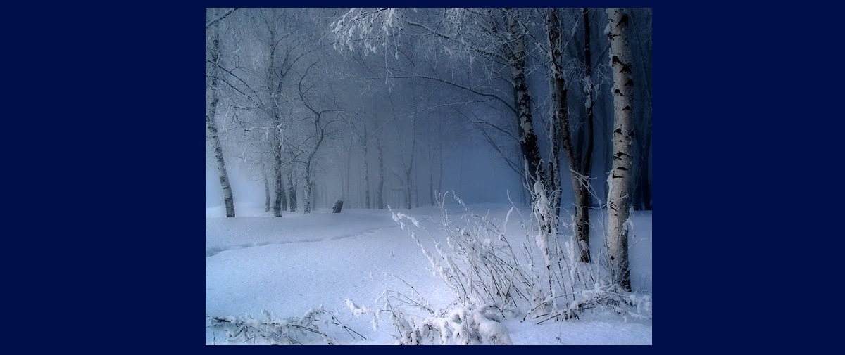 TCS: If We Ever Should Come to Kindness … | Flowers For Socrates