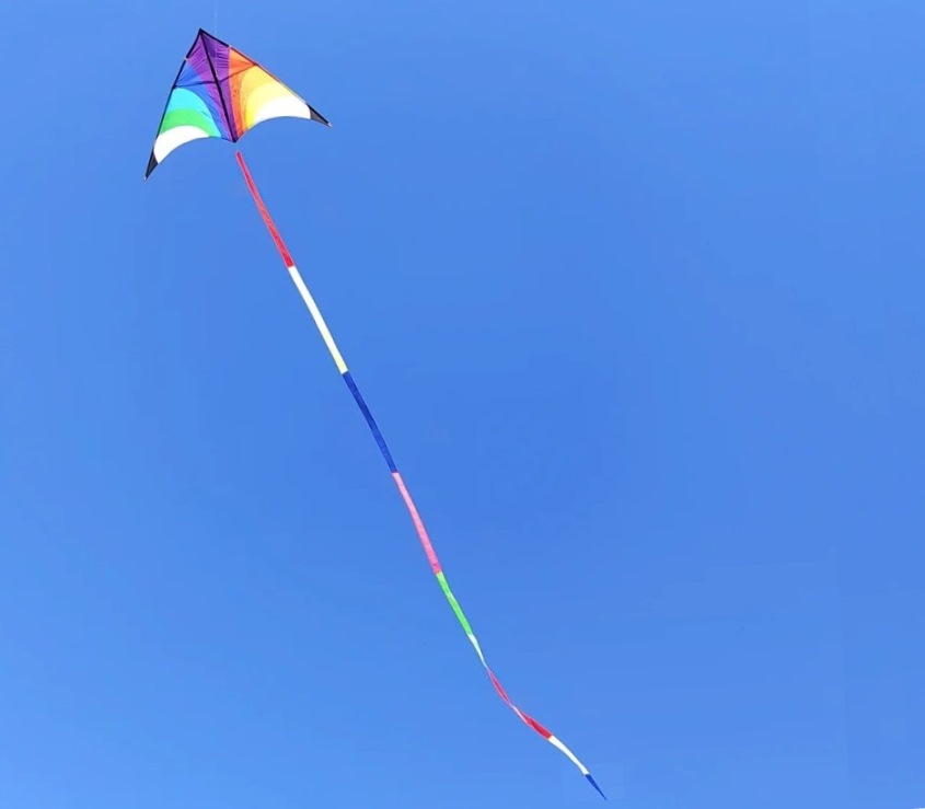 A Poem for International Kite Day | Flowers For Socrates